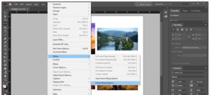 InDesign gap tool | Learn How to Use Gap tool in InDesign?