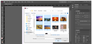 InDesign gap tool | Learn How to Use Gap tool in InDesign?