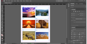 InDesign gap tool | Learn How to Use Gap tool in InDesign?