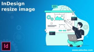 InDesign resize image | Learn How to Resize Images in Indesign?