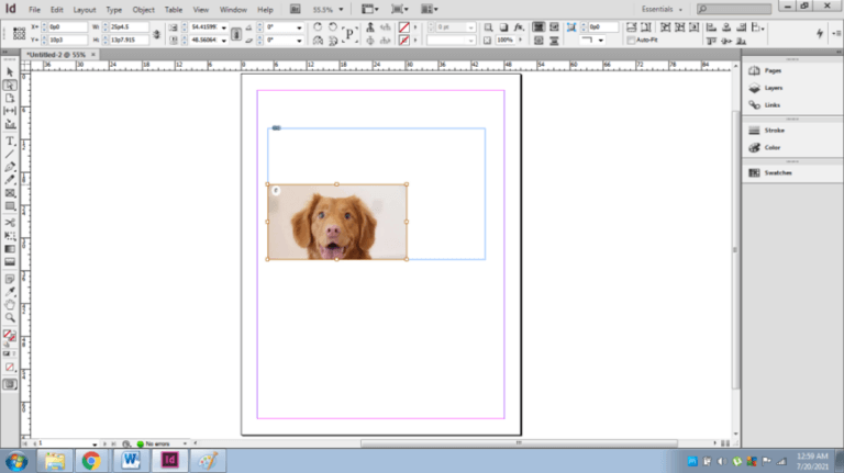 InDesign resize image | Learn How to Resize Images in Indesign?