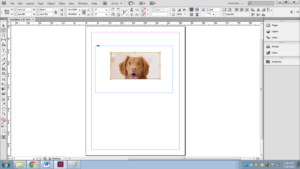 InDesign resize image | Learn How to Resize Images in Indesign?