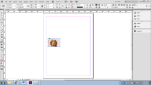 InDesign resize image | Learn How to Resize Images in Indesign?