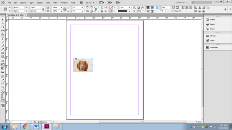 InDesign resize image | Learn How to Resize Images in Indesign?