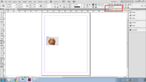 InDesign resize image | Learn How to Resize Images in Indesign?