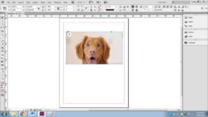 InDesign resize image | Learn How to Resize Images in Indesign?