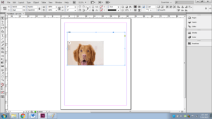 InDesign resize image | Learn How to Resize Images in Indesign?