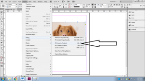 InDesign resize image | Learn How to Resize Images in Indesign?
