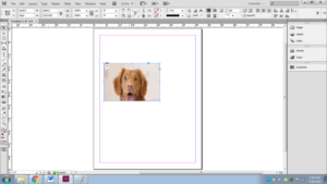 InDesign resize image | Learn How to Resize Images in Indesign?