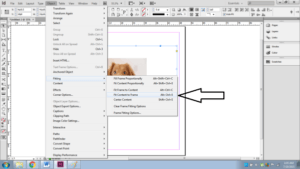 InDesign resize image | Learn How to Resize Images in Indesign?