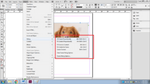 InDesign resize image | Learn How to Resize Images in Indesign?