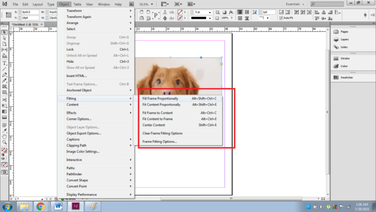 InDesign resize image | Learn How to Resize Images in Indesign?