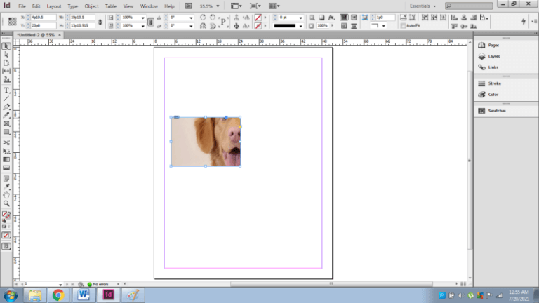 Indesign Resize Image | Learn How To Resize Images In Indesign?