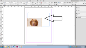 InDesign resize image | Learn How to Resize Images in Indesign?