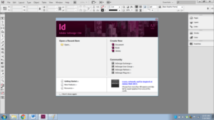 InDesign resize image | Learn How to Resize Images in Indesign?