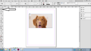 InDesign resize image | Learn How to Resize Images in Indesign?