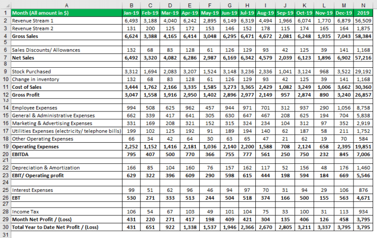 Profit and Loss Statement Template | Basics and Examples