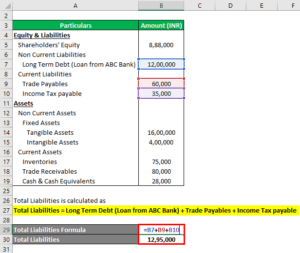 Net Asset Formula | Examples with Excel Template and Calculator