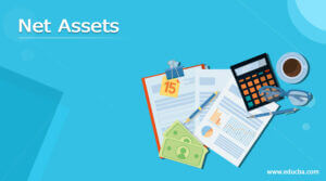 Net Assets | Why Are Net Assets Important with Example?