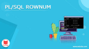 PL/SQL ROWNUM | How ROWNUM works in PL/SQL?