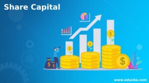 Share Capital | Types and Features of Share Capital with Examples