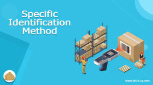 Specific Identification Method | Example and Explanation with Template