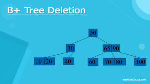 B+ Tree Deletion | Definition | Algorithm with Examples