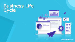 Business Life Cycle | Definition and Top 4 Stages of Business Life Cycle
