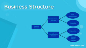 Business Structure | Purpose & Types of Business Structure with Example
