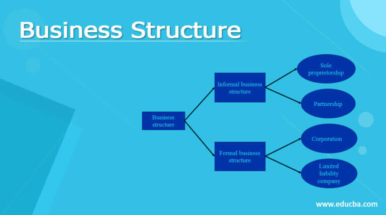Business Structure | Purpose & Types of Business Structure with Example