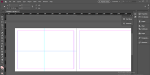InDesign portfolio template | How to Create Portfolio Template in InDesign?
