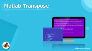 Matlab Transpose | Different Examples of Matlab Transpose