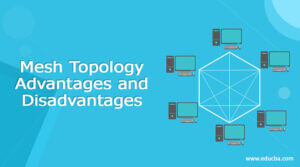 Mesh Topology Advantages and Disadvantages | Different Tyoes of Mesh