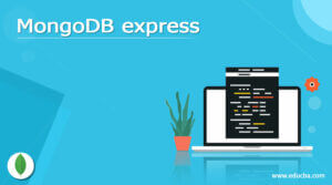 MongoDB express | How does MongoDB express work?