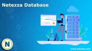 Netezza Database | How does Netezza Database work with Examples?