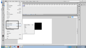 Adobe Flash Player Test | What is Adobe Flash Player Test?