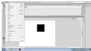 Adobe Flash Player Test | What is Adobe Flash Player Test?