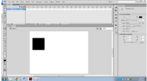 Adobe Flash Player Test | What is Adobe Flash Player Test?