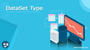 DataSet Type | Different Dataset Types and Examples