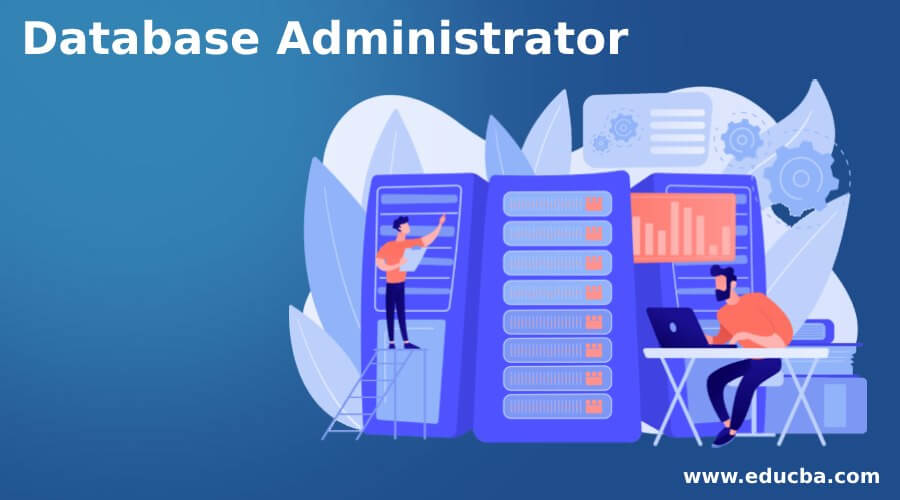 Database Administrator Workplace Types Career Skills