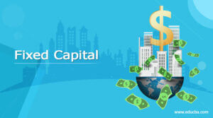 Fixed Capital | Sources and Importance of Fixed Capital with Example