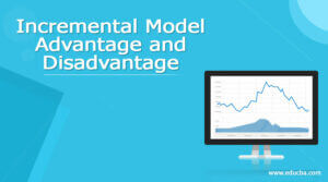 Incremental model Advantage and Disadvantage | What is used in SDLC?