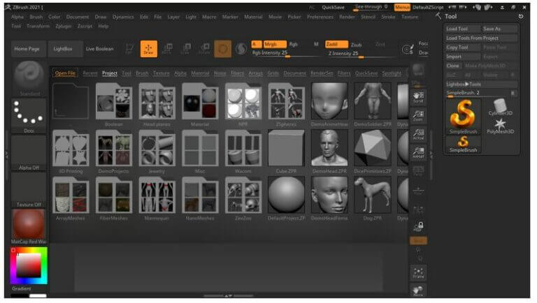ZBrush Retopology | How to Use Retopology in ZBrush