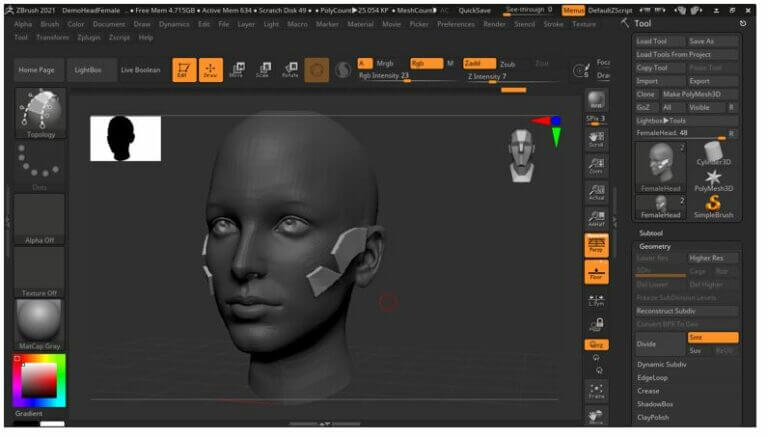 ZBrush Retopology | How to Use Retopology in ZBrush