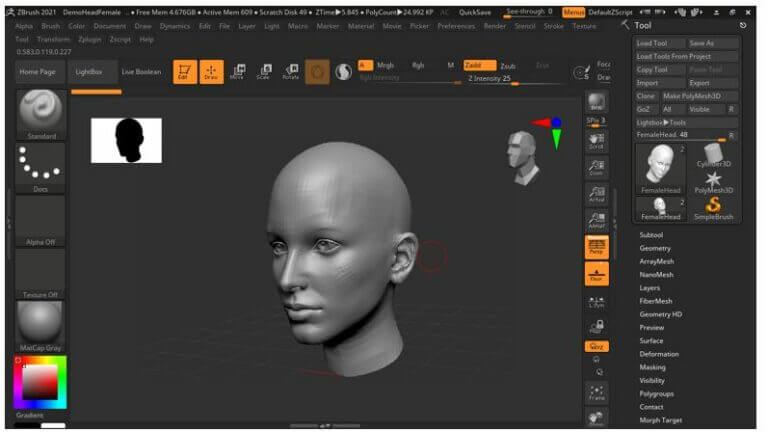 ZBrush Retopology | How to Use Retopology in ZBrush