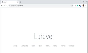 laravel nginx | Complete Guide on Laravel nginx in detail