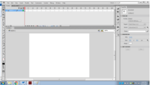 Adobe Flash Player Test | What is Adobe Flash Player Test?