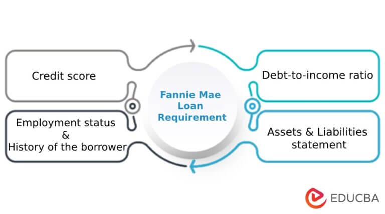 What is Fannie Mae? - Purpose, Eligibility, Limits, Programs