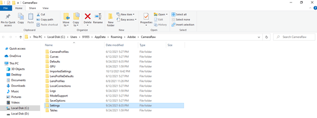 Lightroom XMP | Learn How to install new xmp presets in Lightroom?