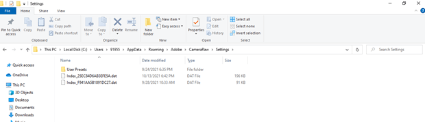 Lightroom XMP | Learn How to install new xmp presets in Lightroom?